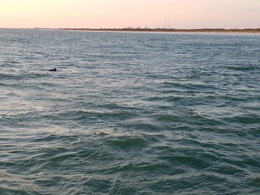 Utopia – Fort De Soto State Park! – Exploring Florida and More
