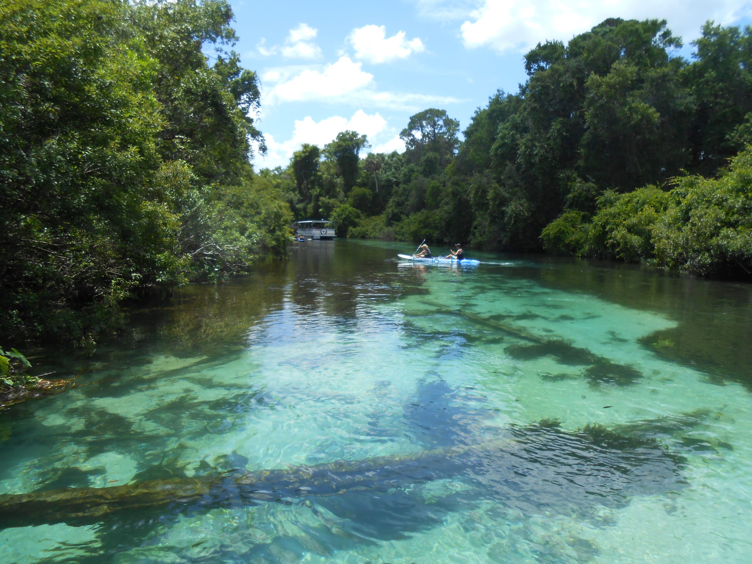 The Winding Weeki Wachee River - Exploring Florida and More
