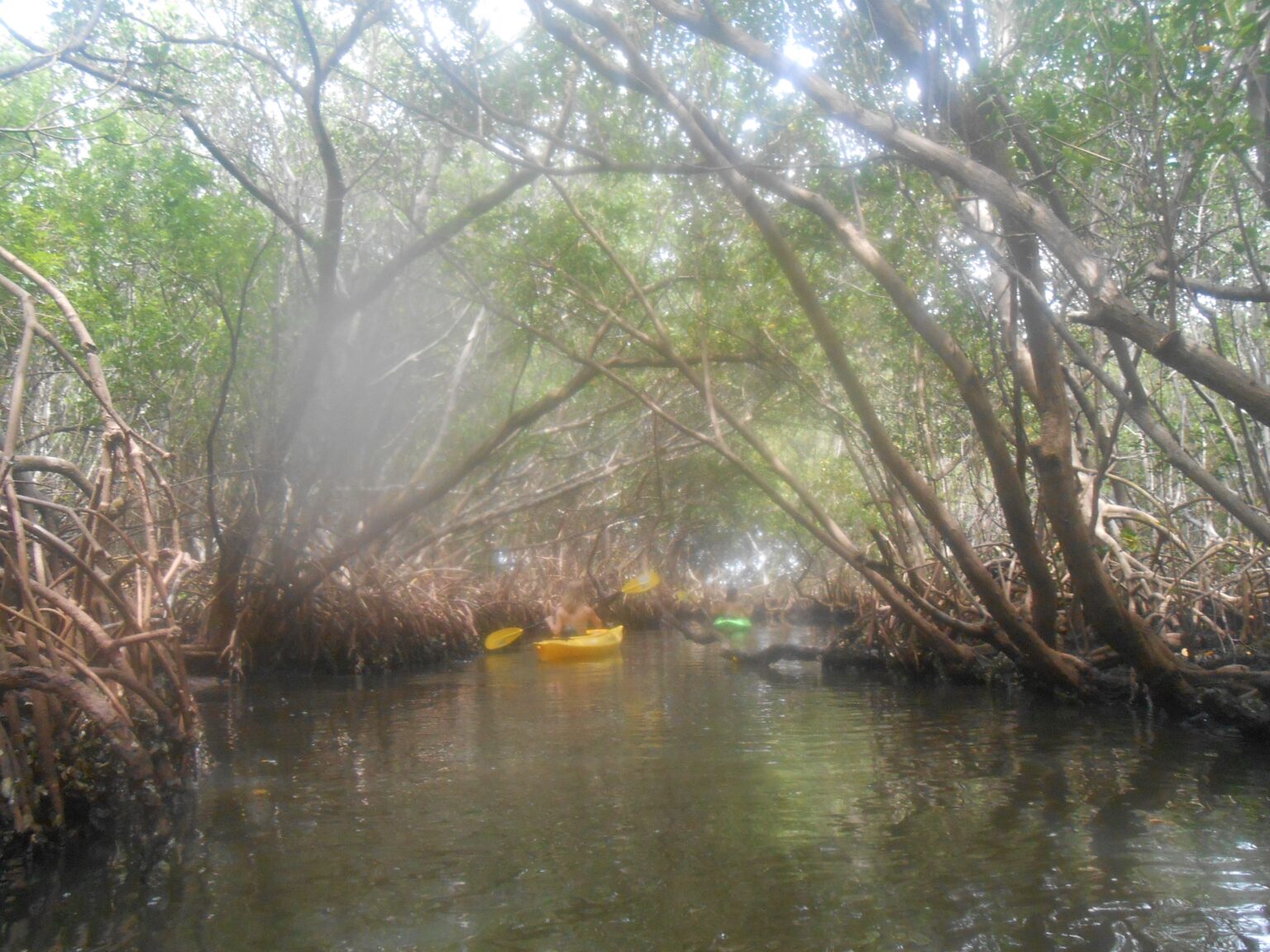 Weedon Island Adventure! – Exploring Florida and More
