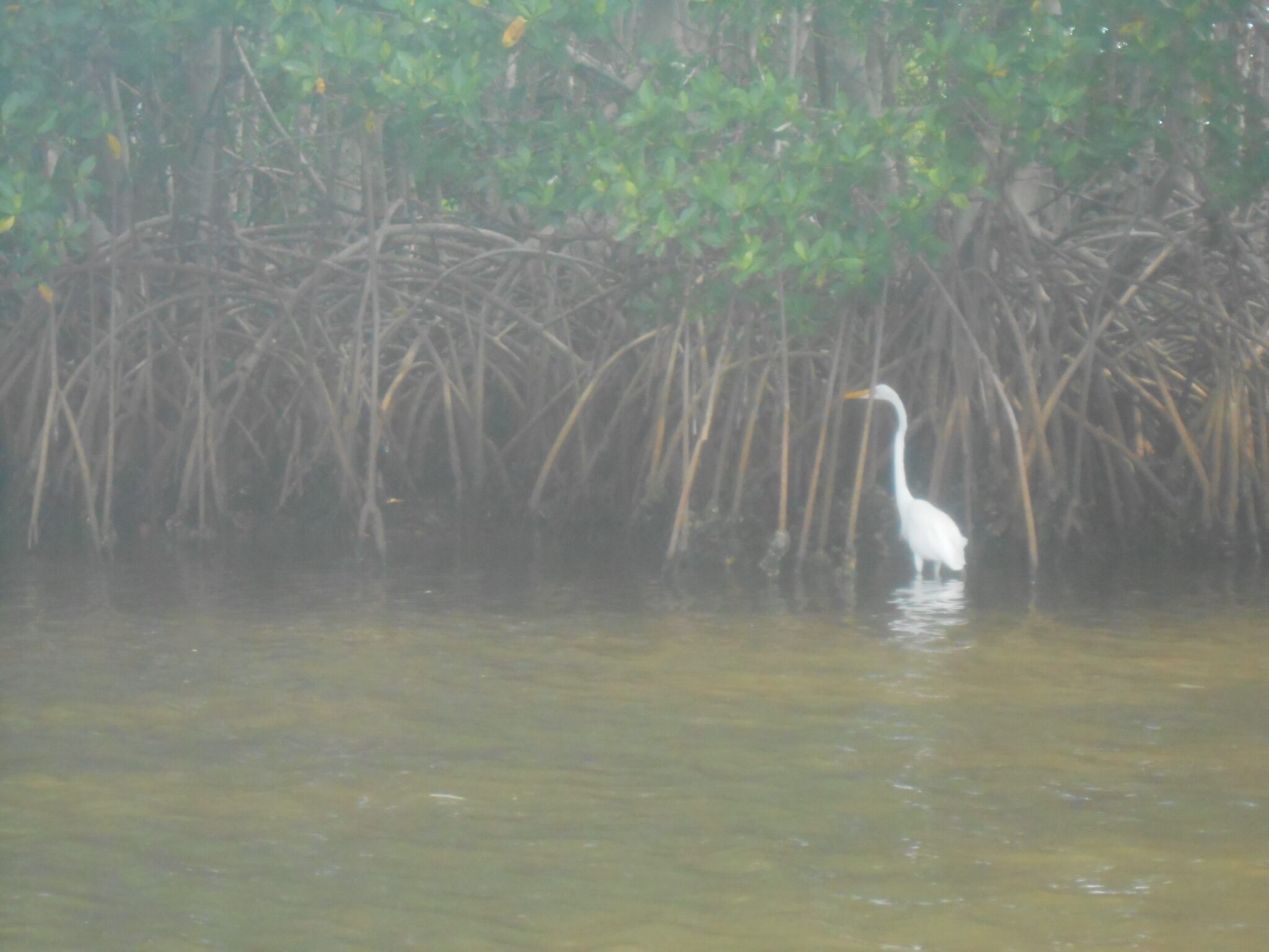 Weedon Island Adventure! – Exploring Florida and More